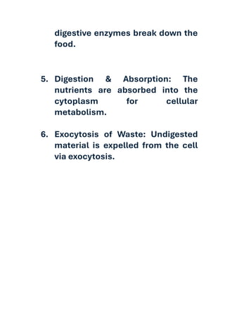 Nutrition in Protozoa-Phagocytosis and Pinocytosis.pdf