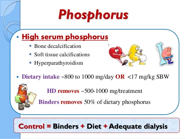 Nutrition in renal patient