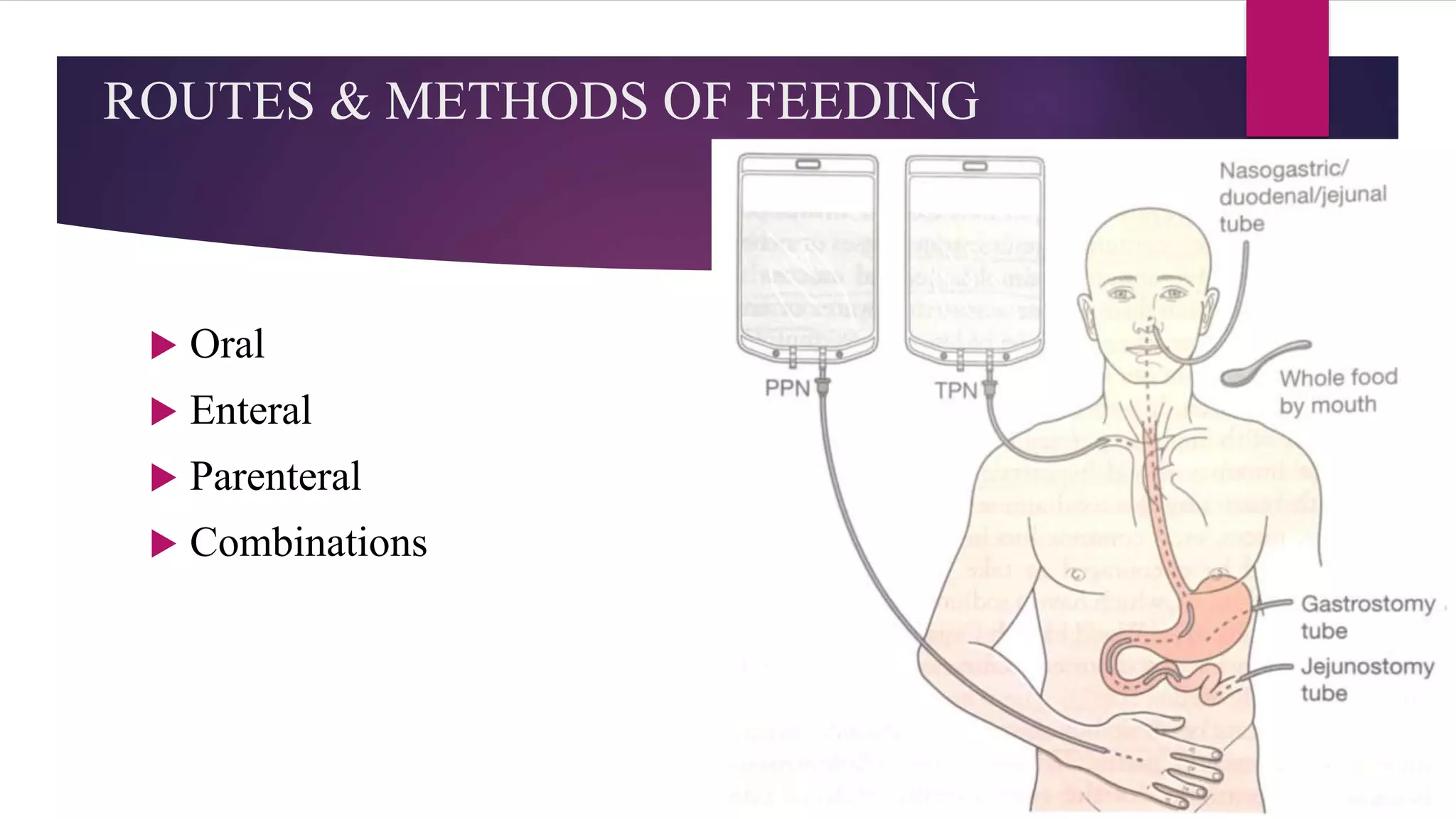 Nutrition in surgical patients | PPTX