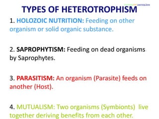 Nutrition KZLZ. | PPT