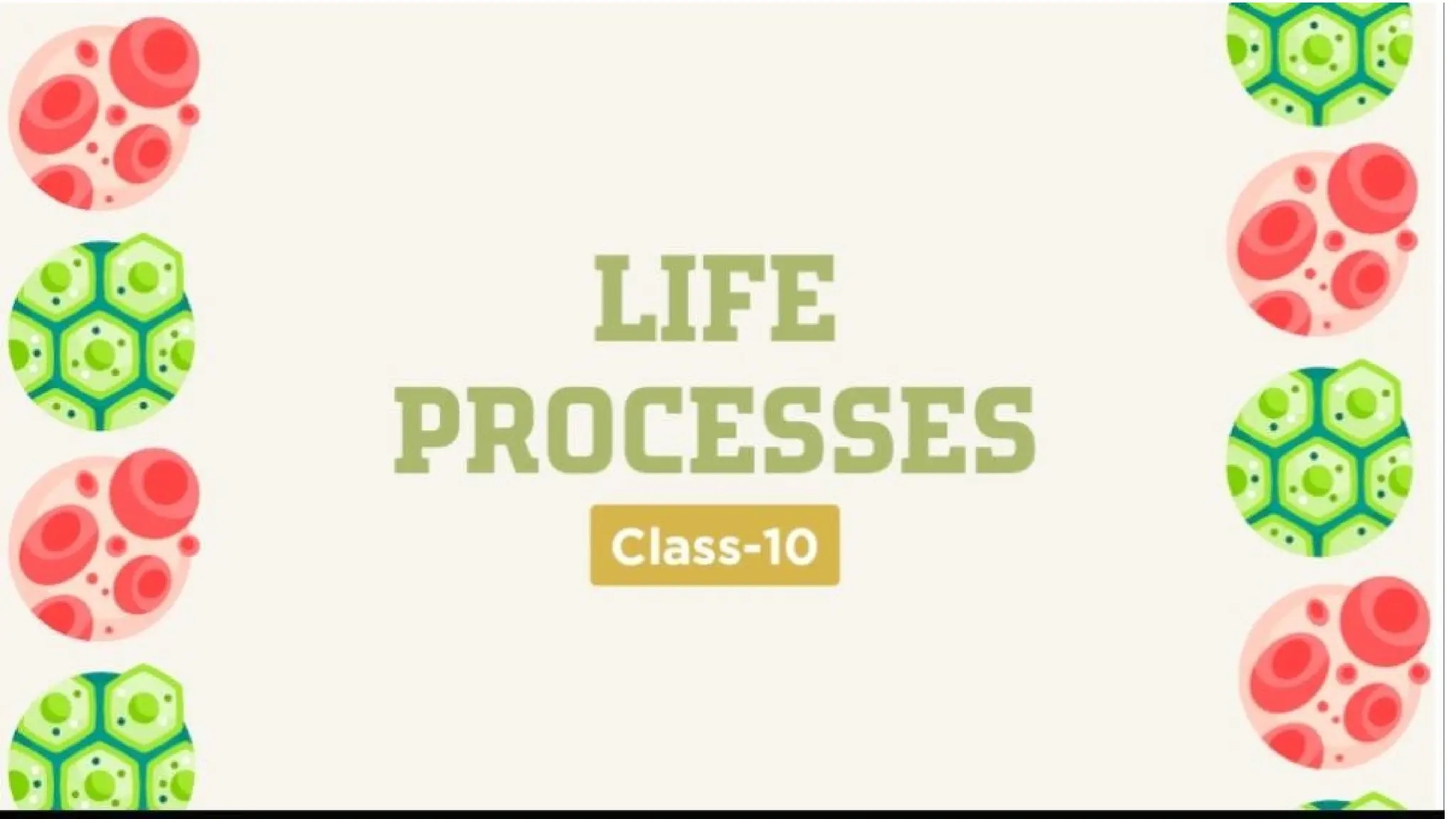 nutrition life process.pptx part of life process | PPTX