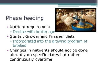 Nutrition management Broiler | PPTX