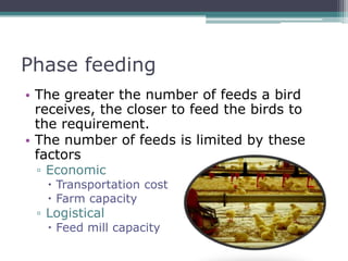 Nutrition management Broiler | PPTX