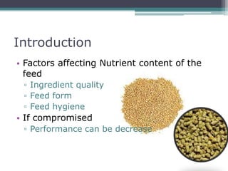 Nutrition management Broiler | PPTX