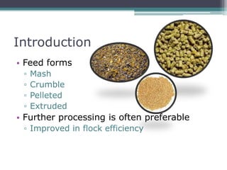 Nutrition management Broiler | PPTX