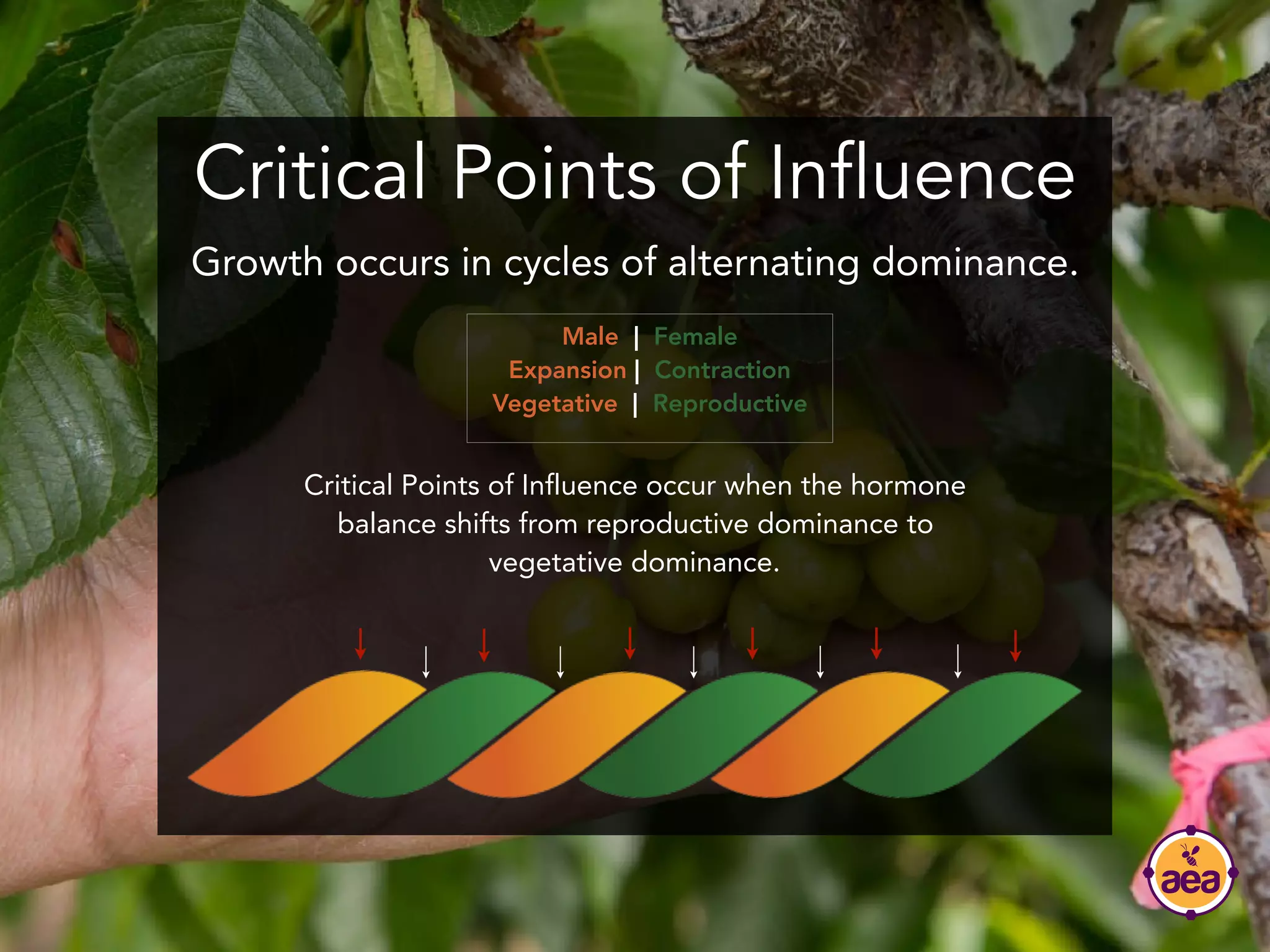 Nutrition Management at Critical Points of Influence | PDF