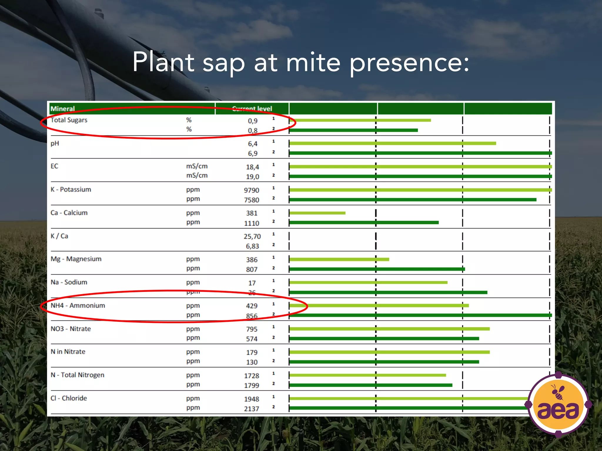 Nutrition Management for Mite Infestations | PDF