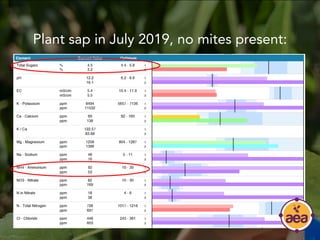 Nutrition Management for Mite Infestations | PDF