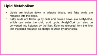 Nutrition, Metabolism and Body temperature regulation.pptx