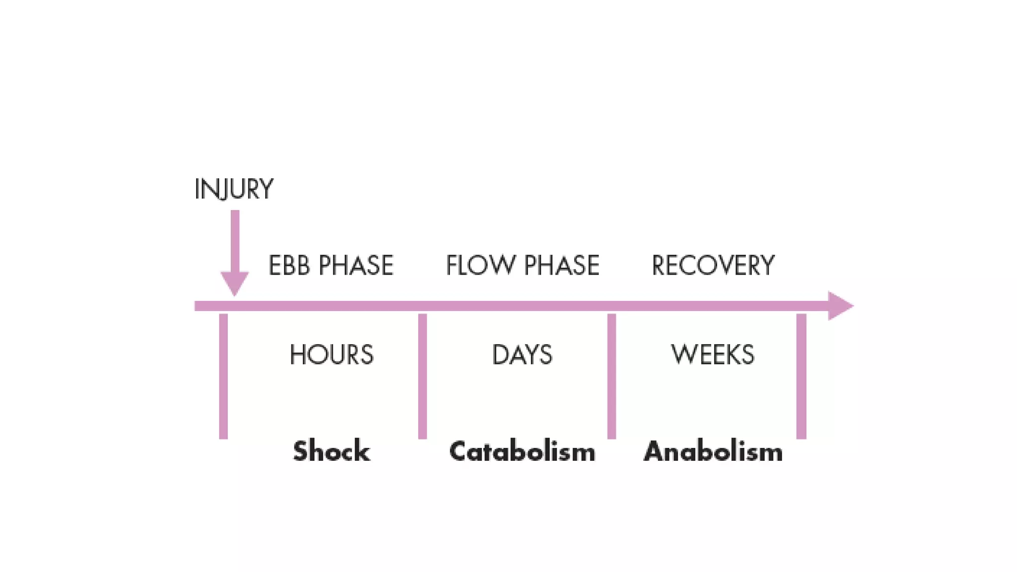 Nutritional support and fluid therapy in surgery | PPTX