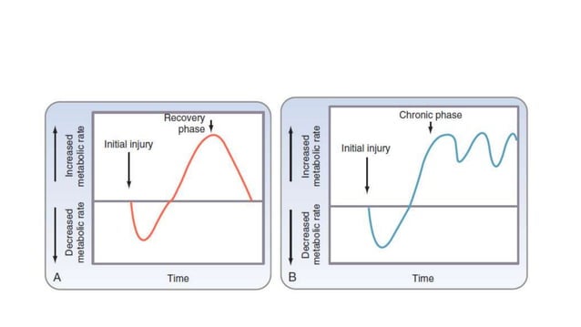 Nutritional support and fluid therapy in surgery | PPTX | Digestive ...