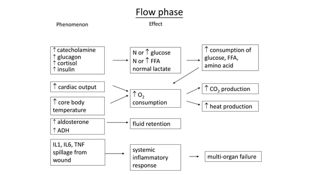 Nutritional support and fluid therapy in surgery | PPTX | Digestive ...