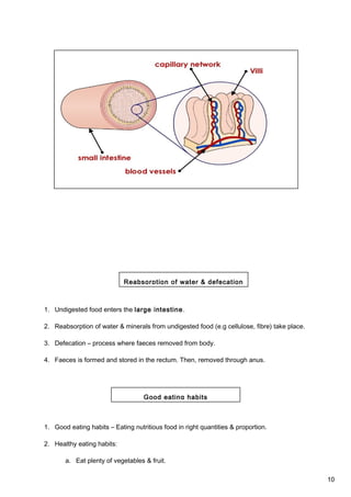 Science Form 2 Nutrition notes | DOC
