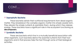nutrition of bacteria by spoorthi s sadar.pptx