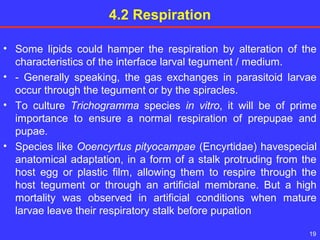 Nutrition of entomophagous insect and their host | PPT