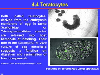 Nutrition of entomophagous insect and their host | PPT