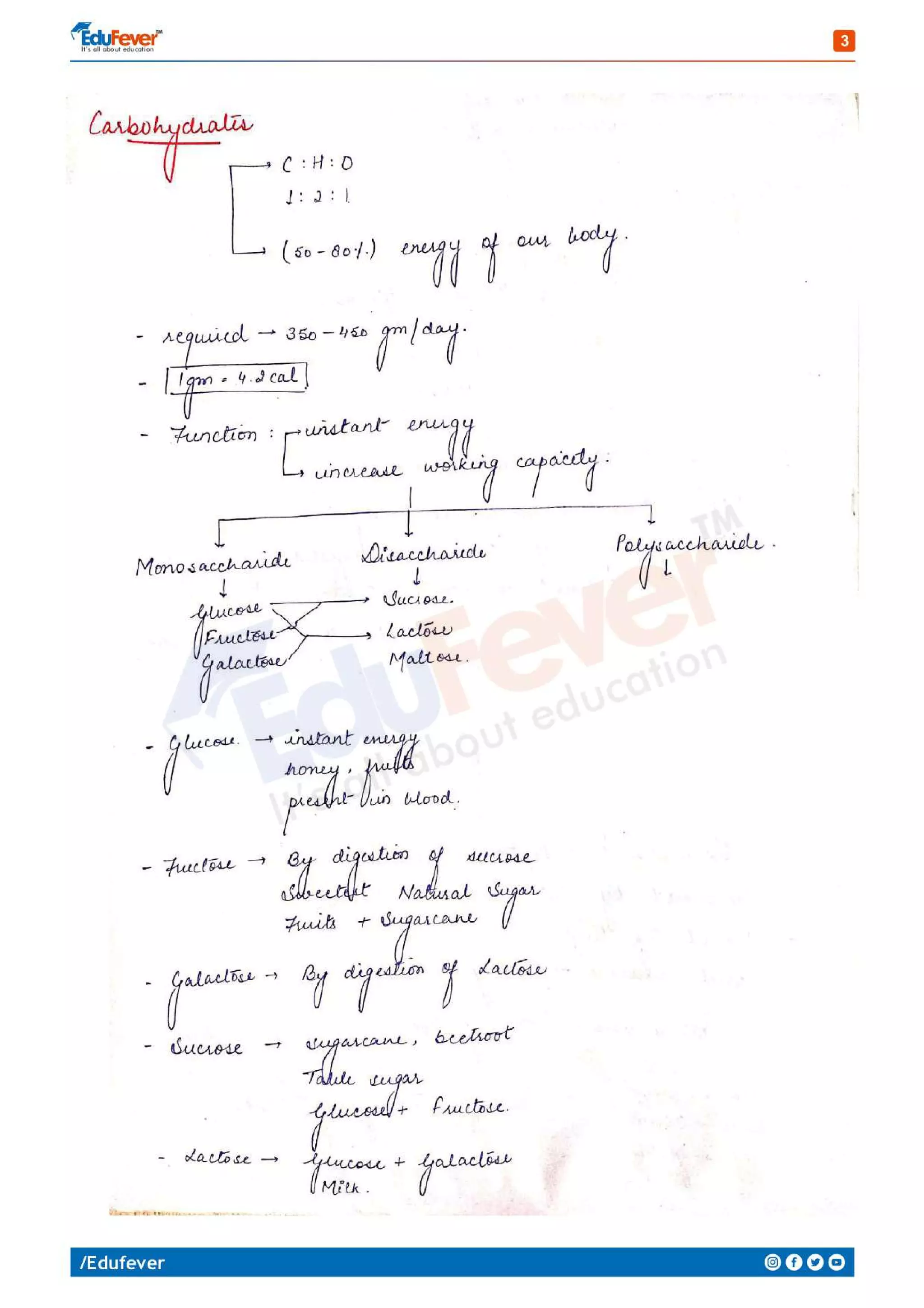 Nutrition - Biology Handwritten Notes | PDF