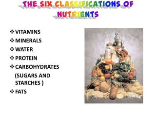 Nutrition powerpoint | PPTX