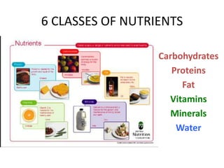 Nutrition powerpoint | PPTX