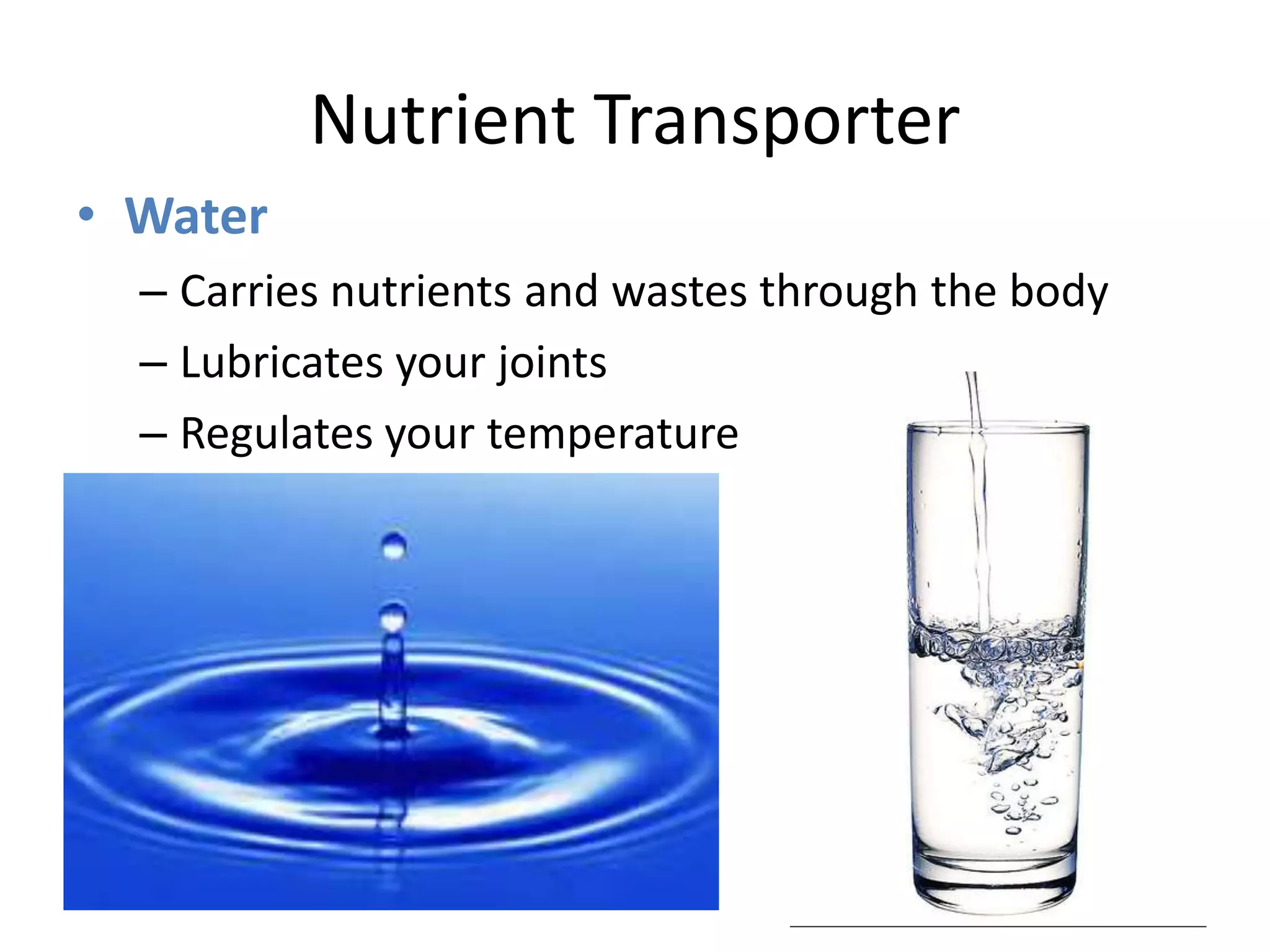 Nutrition powerpoint | PPTX