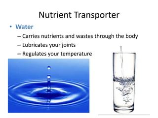 Nutrition powerpoint | PPTX