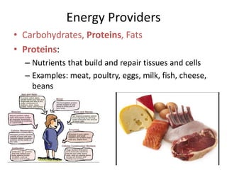 Nutrition powerpoint | PPTX