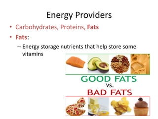 Nutrition powerpoint | PPTX