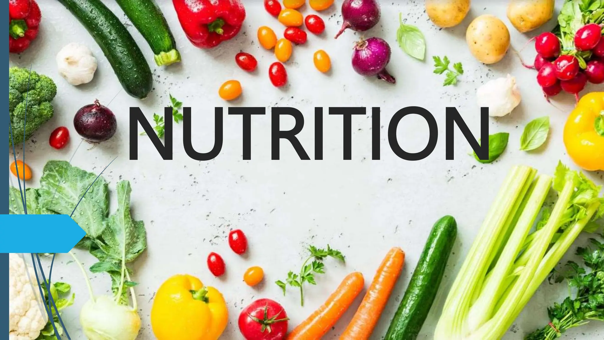 Nutrition Powerpoint. focusing on macronutrients | PPTX