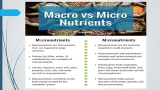 Nutrition Powerpoint. focusing on macronutrients | PPTX