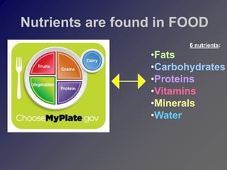 Nutrition powerpoint.ppt
