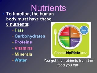 Nutrition powerpoint.ppt