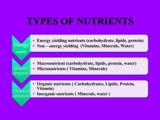 nutrition_powerpoint pediatrics nutrition | PPT
