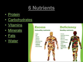 Nutrition ppt | PPT