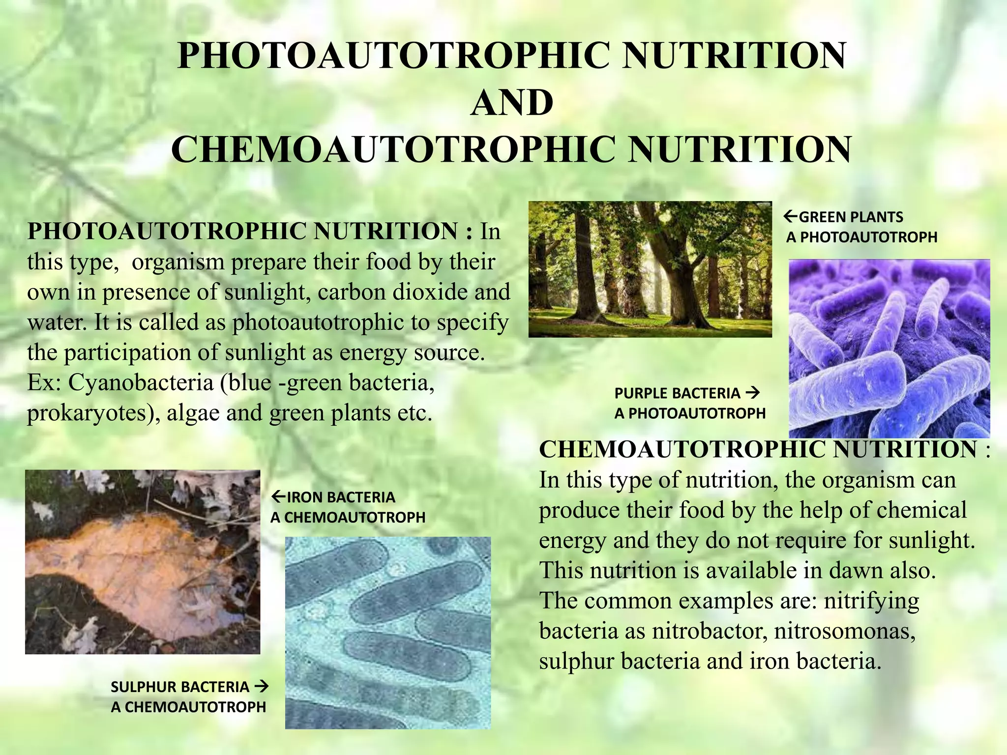 Austin Journal of Nutrition and Food sciences | PPTX