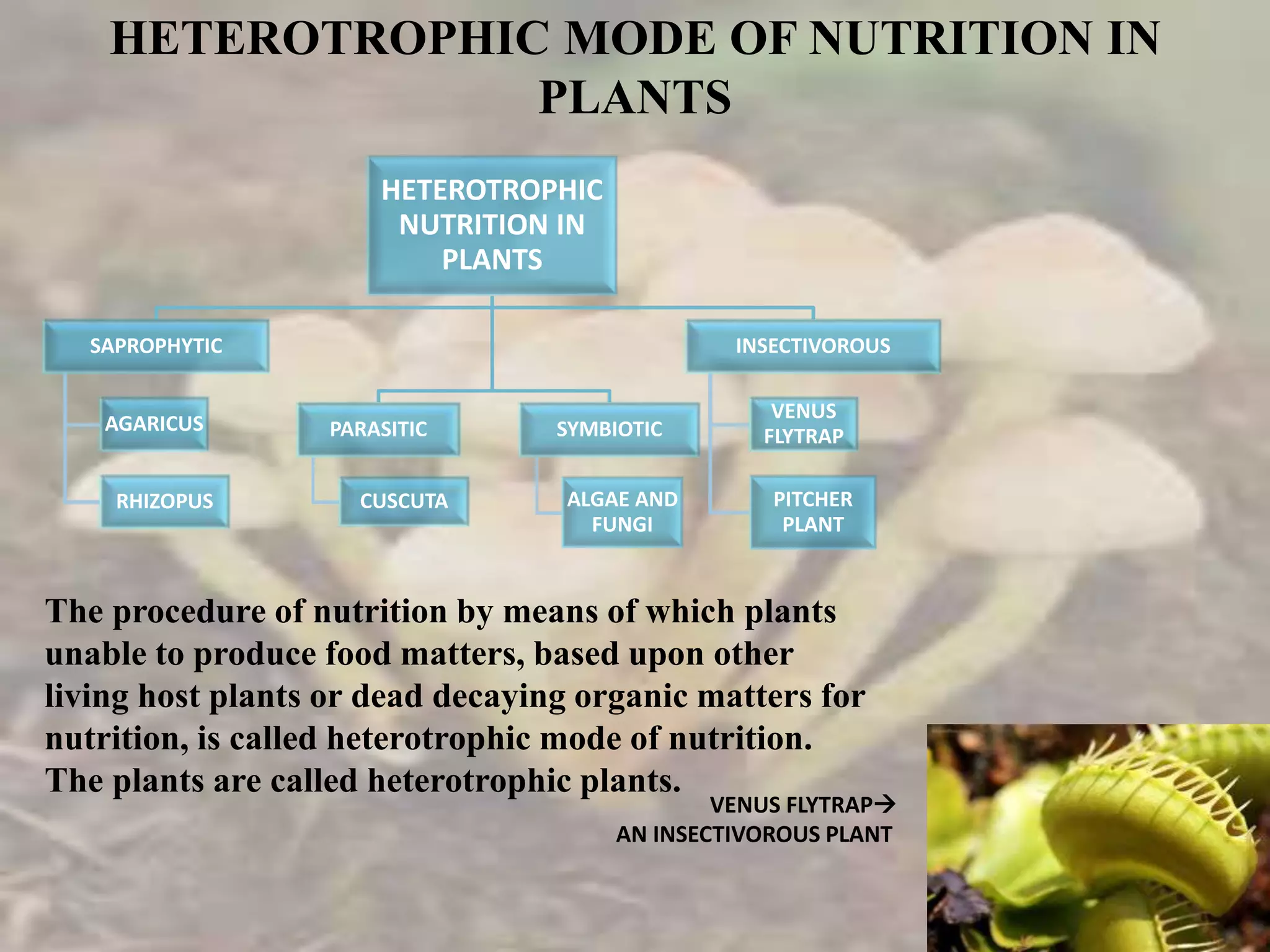 Austin Journal of Nutrition and Food sciences | PPTX