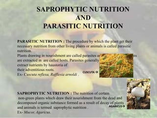 Austin Journal of Nutrition and Food sciences | PPTX