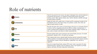 Nutrition Presentation- essential nutrients .pdf