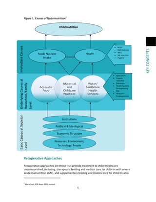 naza group organization chart - PhoenixtaroGiles