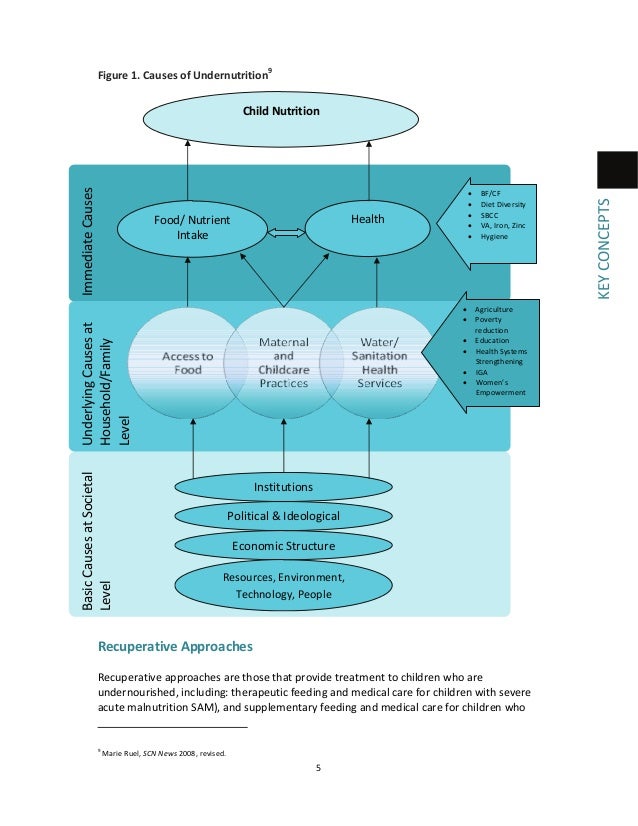 Nutrition program design and planning
