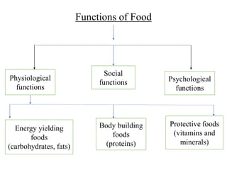 nutrition sources.pptx