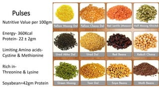 Nutrition Spots.pptx