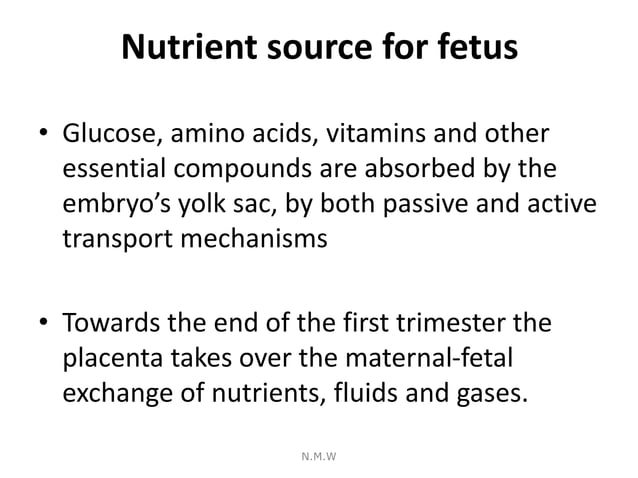 nutrition_throughout_the_life_cycle.ppt