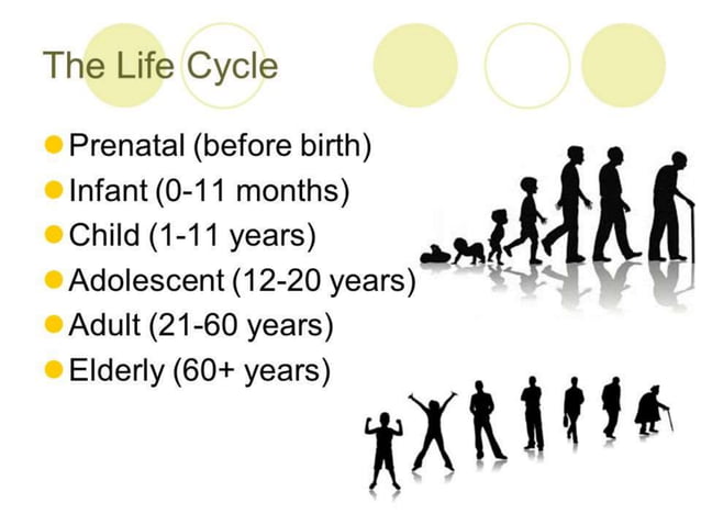 Nutrition Through out The life Cycle 2024.pptx