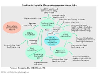 Nutrition Through out The life Cycle 2024.pptx