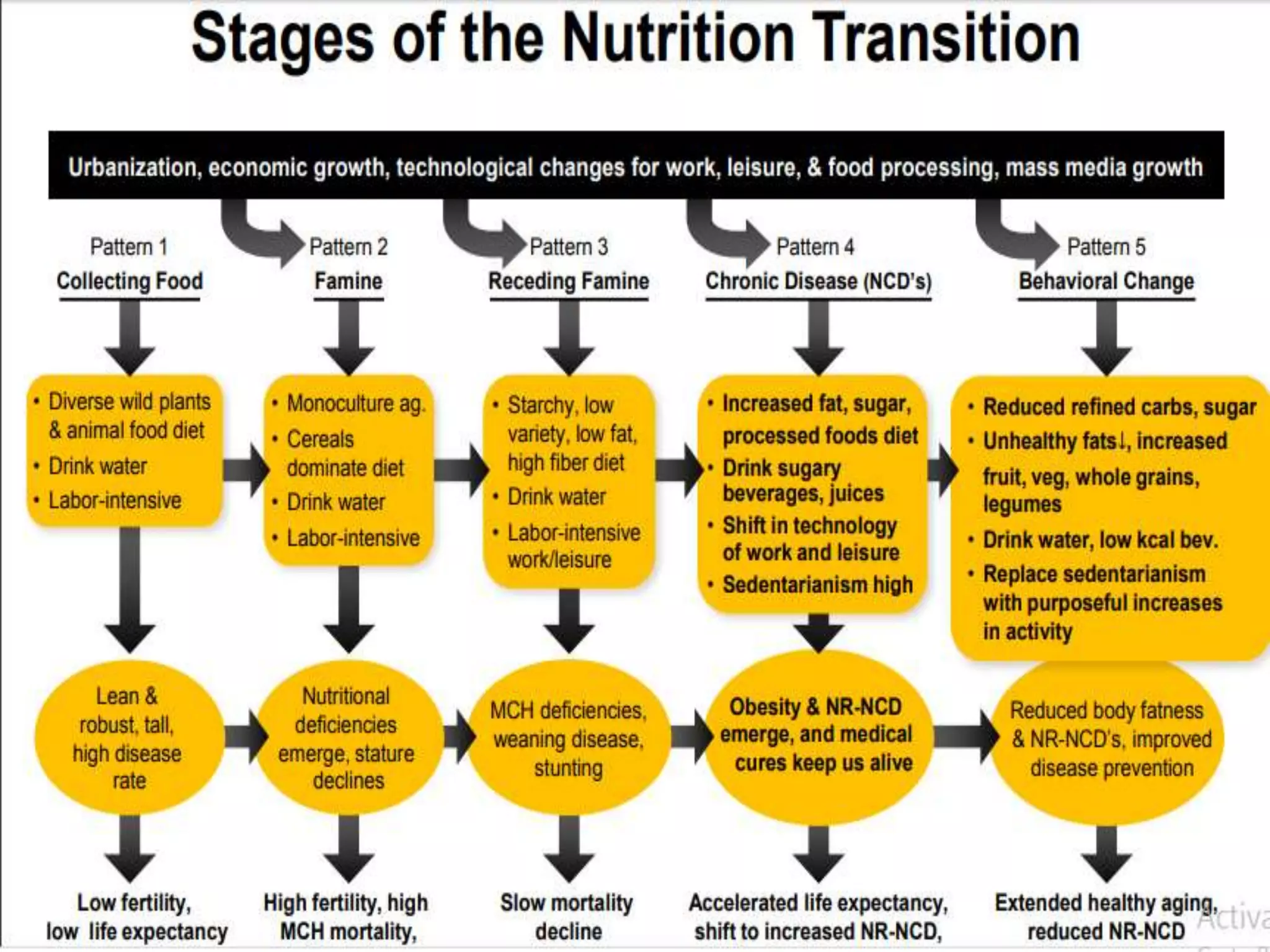 Nutrition transition.pptx
