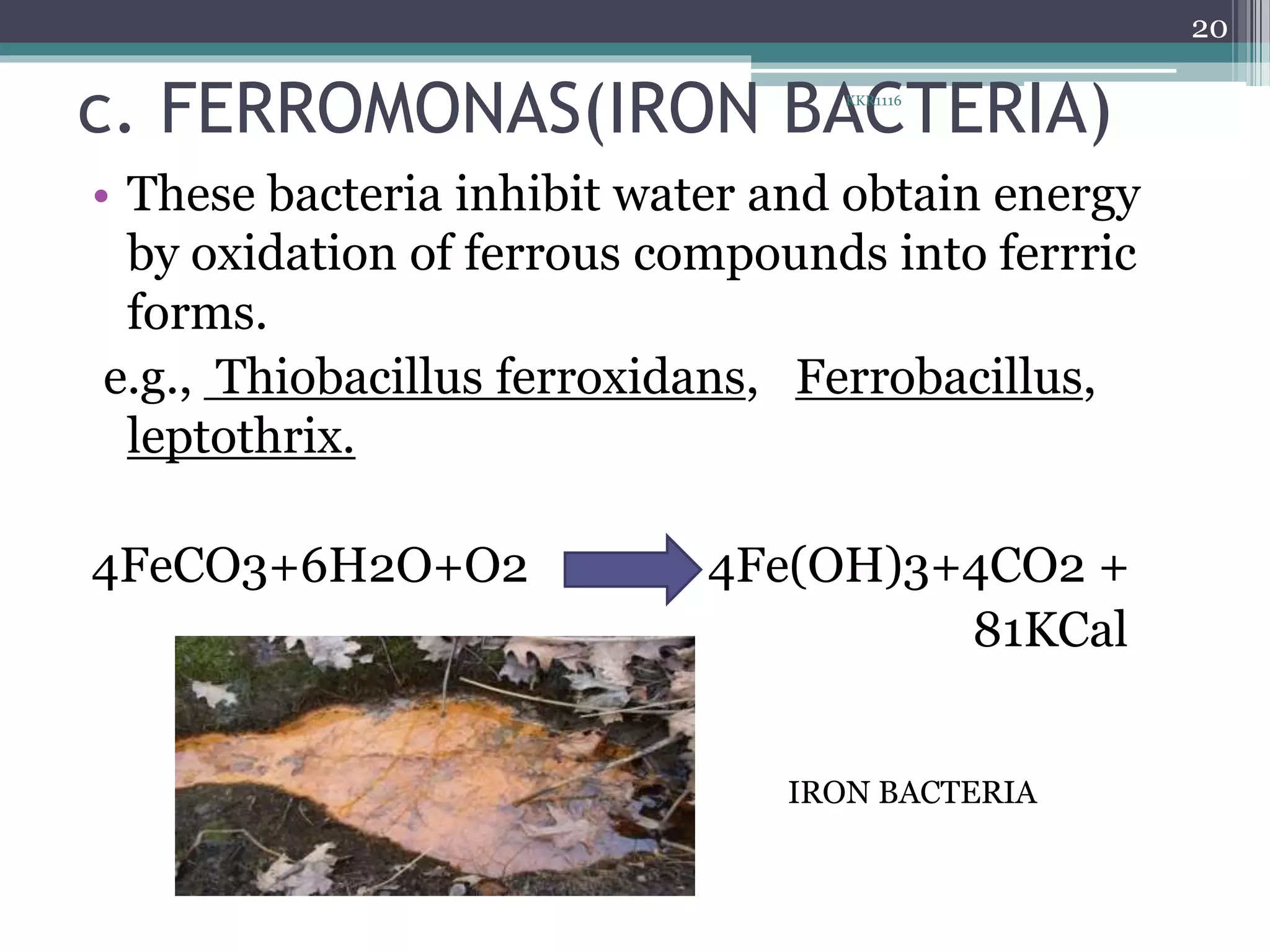 Nutrition types of bacteria | PPTX