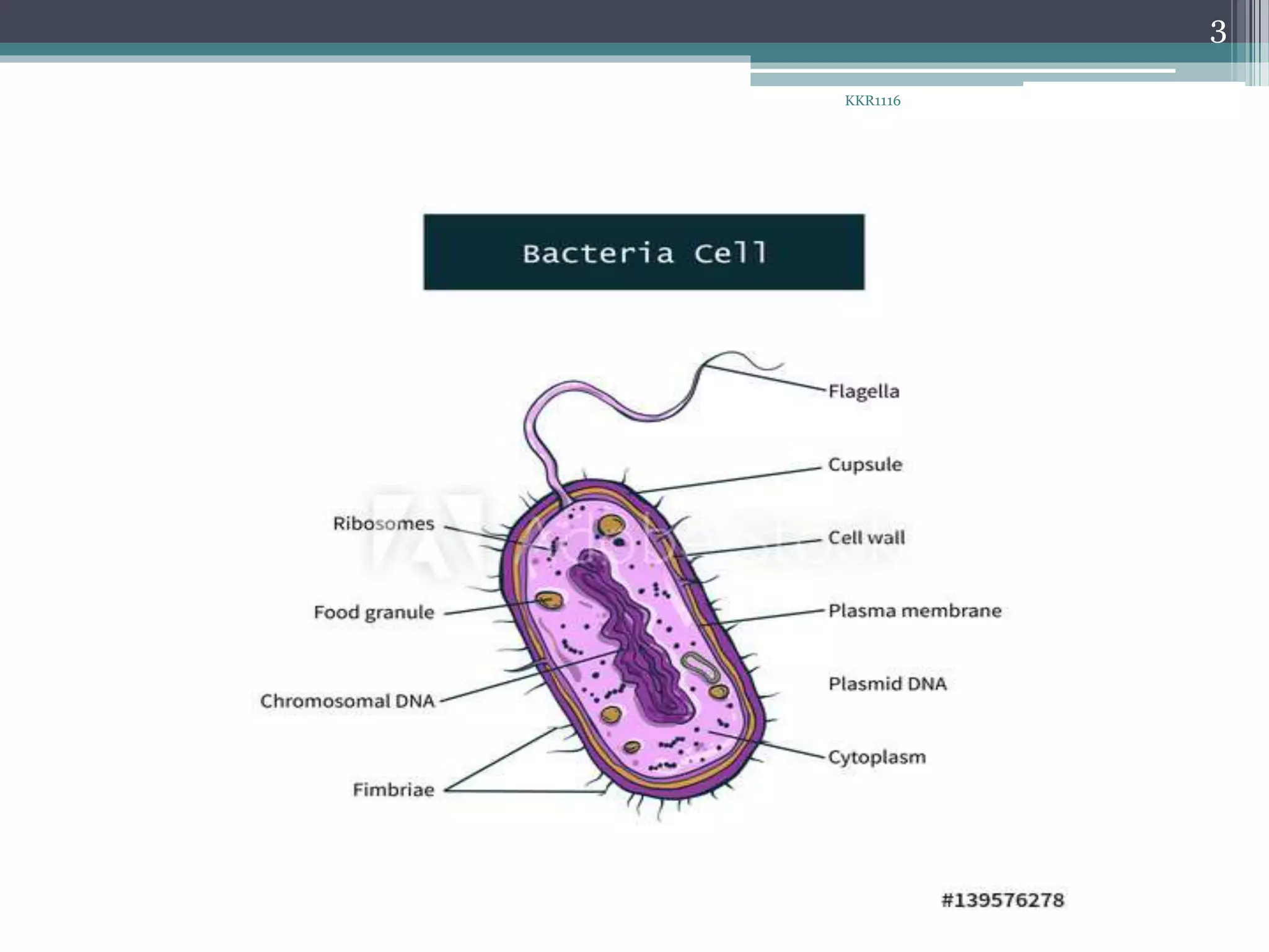 Nutrition types of bacteria | PPTX