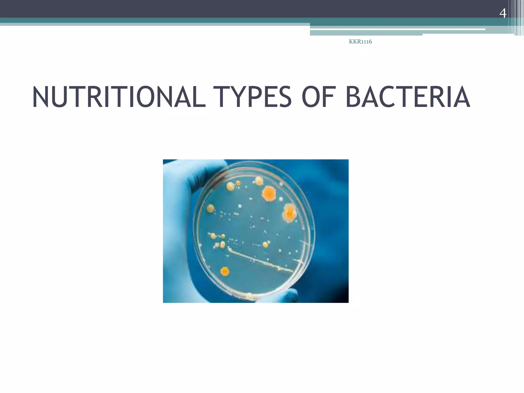 Nutrition types of bacteria | PPTX
