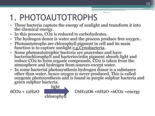 Nutrition types of bacteria | PPTX