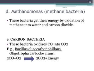 Nutrition types of bacteria | PPTX